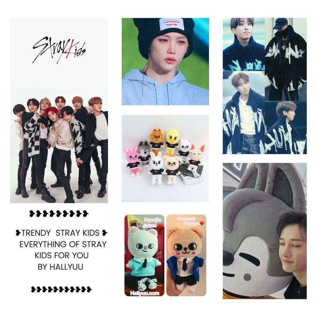 Stray Kids Merch – By Hallyuu